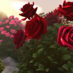 Do Roses Have Pollen? (The Facts Revealed) – Flower Pursuits