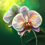 Is Orchid a Good Insurance Company? (Here’s What You Need to Know ...