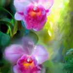 What is Orchids Taxonomy? (Detailed Overview) – Flower Pursuits