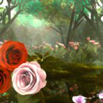 What To Do With Roses After They Die? (5 Simple Tips) – Flower Pursuits