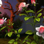 Where Do Roses Come From? (The Fascinating History) – Flower Pursuits