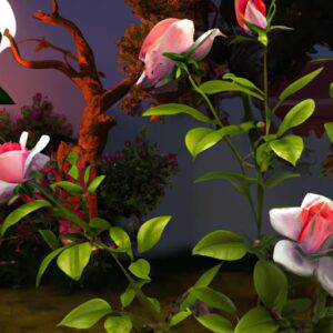 Where Do Roses Come From? (The Fascinating History) – Flower Pursuits