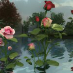 Why Is My Rose Not Growing Leaves? (Solutions To Get It Blooming ...