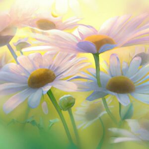 How to Make Daisy Flower Extract? (A Step-By-Step Guide) – Flower Pursuits