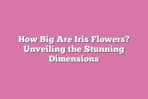 How Big Are Iris Flowers? Unveiling the Stunning Dimensions – Flower ...
