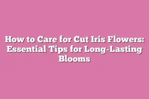 How to Care for Cut Iris Flowers: Essential Tips for Long-Lasting ...