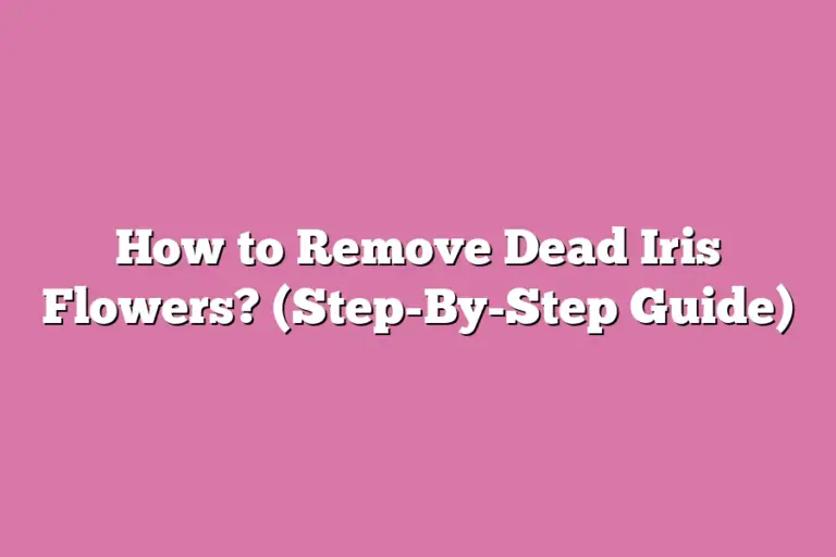 How to Remove Dead Iris Flowers? (Step-By-Step Guide) – Flower Pursuits