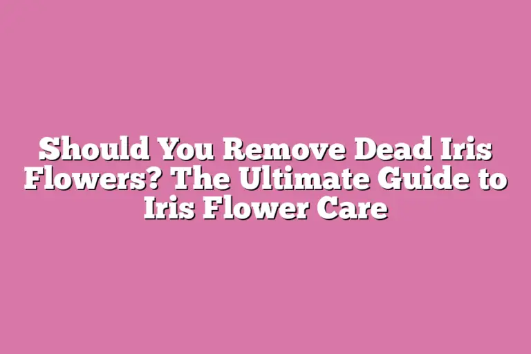 Should You Remove Dead Iris Flowers? The Ultimate Guide to Iris Flower ...