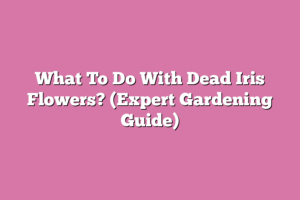 What To Do With Dead Iris Flowers? (Expert Gardening Guide) – Flower ...