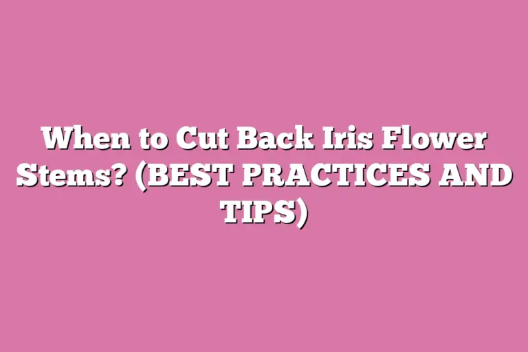 When to Cut Back Iris Flower Stems? (BEST PRACTICES AND TIPS) – Flower ...