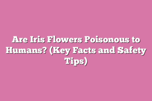 Are Iris Flowers Poisonous to Humans? (Key Facts and Safety Tips ...