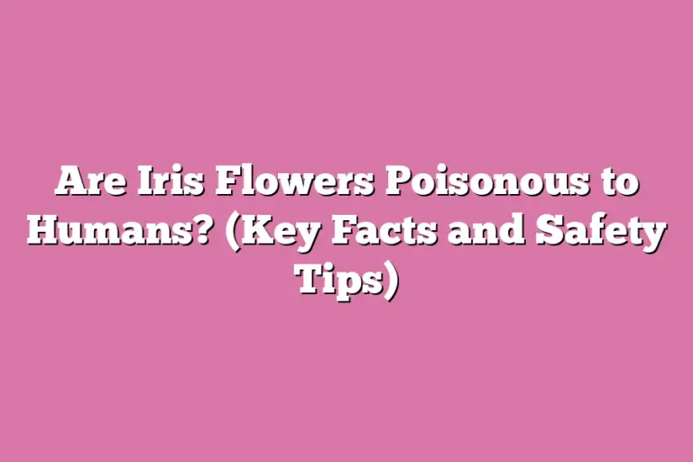 Are Iris Flowers Poisonous to Humans? (Key Facts and Safety Tips ...