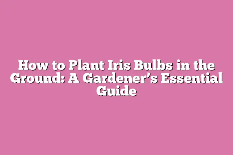 How to Plant Iris Bulbs in the Ground: A Gardener’s Essential Guide ...