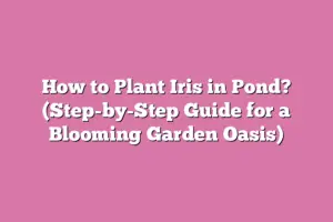 How to Plant Iris in Pond? (Step-by-Step Guide for a Blooming Garden ...