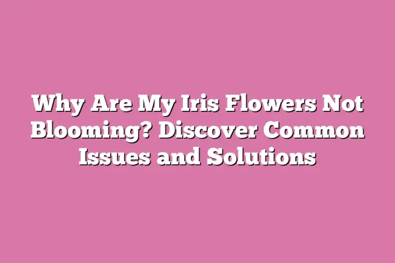 Why Are My Iris Flowers Not Blooming? Discover Common Issues and Solutions – Flower Pursuits