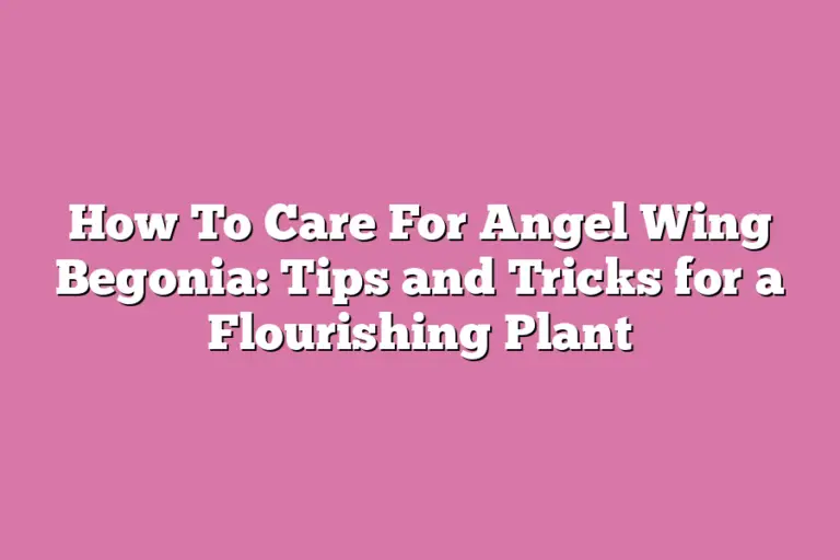 How To Care For Angel Wing Begonia: Tips and Tricks for a Flourishing ...