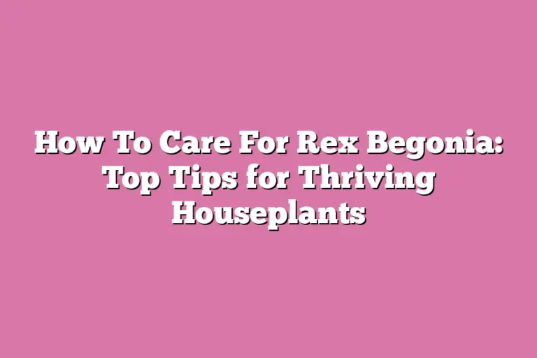How To Care For Rex Begonia: Top Tips for Thriving Houseplants – Flower Pursuits