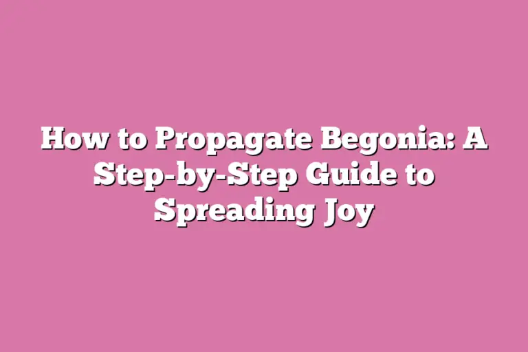 How To Propagate Begonia A Step By Step Guide To Spreading Joy