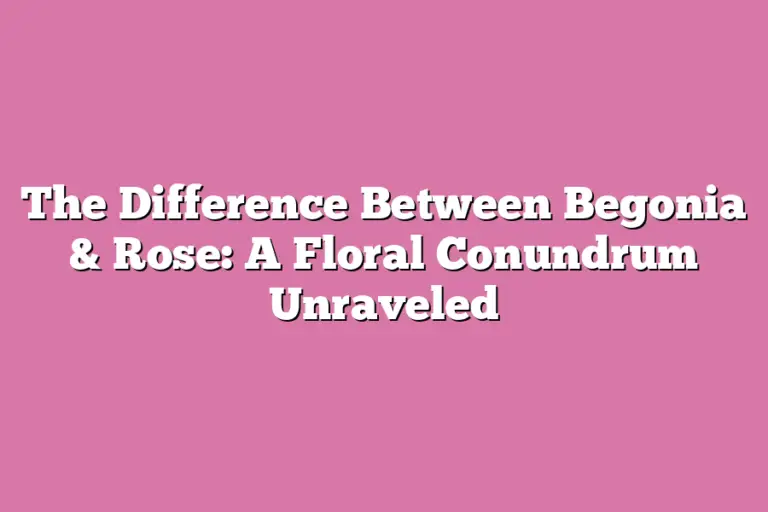 The Difference Between Begonia & Rose: A Floral Conundrum Unraveled ...