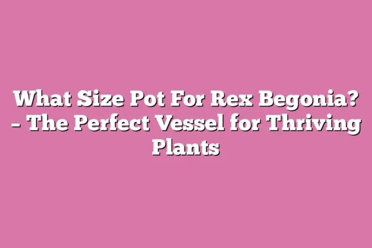 What Size Pot For Rex Begonia? – The Perfect Vessel for Thriving Plants ...