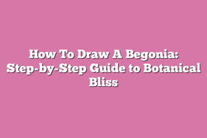 How To Draw A Begonia: Step-by-Step Guide to Botanical Bliss – Flower Pursuits
