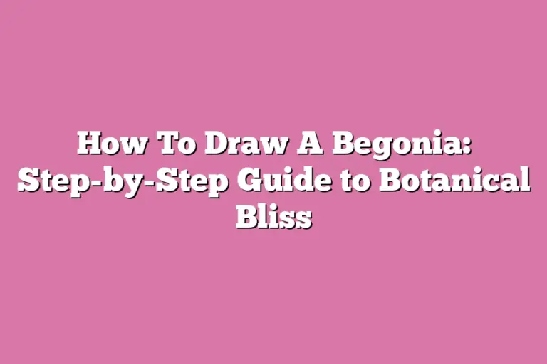 How To Draw A Begonia: Step-by-Step Guide to Botanical Bliss – Flower ...