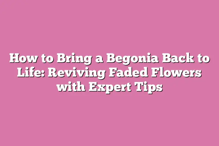How to Bring a Begonia Back to Life: Reviving Faded Flowers with Expert ...