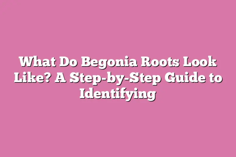 What Do Begonia Roots Look Like? A Step-by-Step Guide to Identifying ...