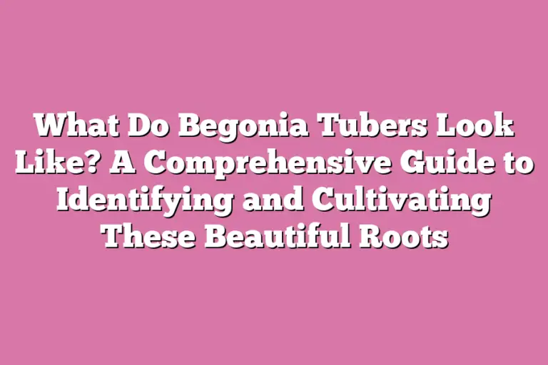 What Do Begonia Tubers Look Like? A Comprehensive Guide to Identifying ...