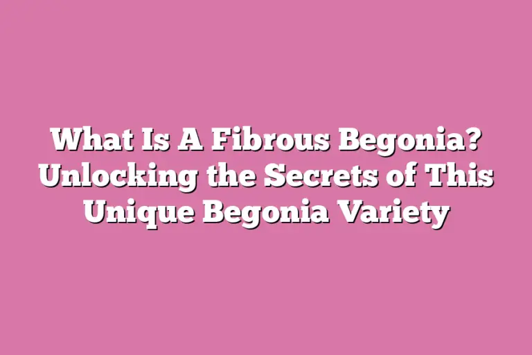 What Is A Fibrous Begonia? Unlocking the Secrets of This Unique Begonia ...
